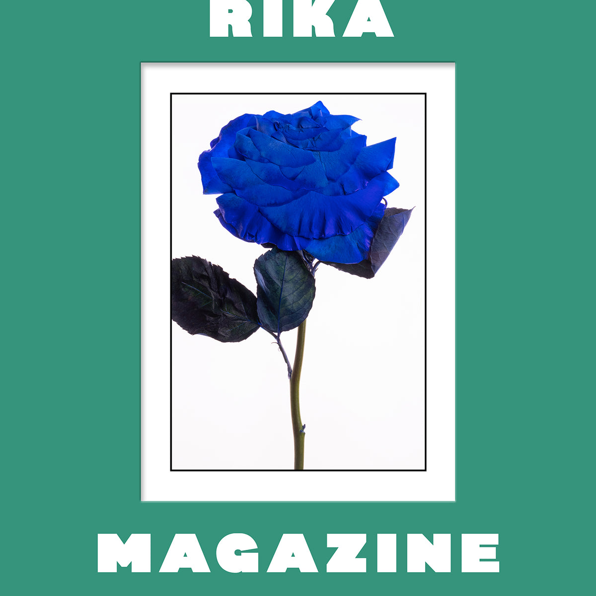 RIKA MAGAZINE NO.21 / THE BLUE ROSE – RIKA STUDIOS
